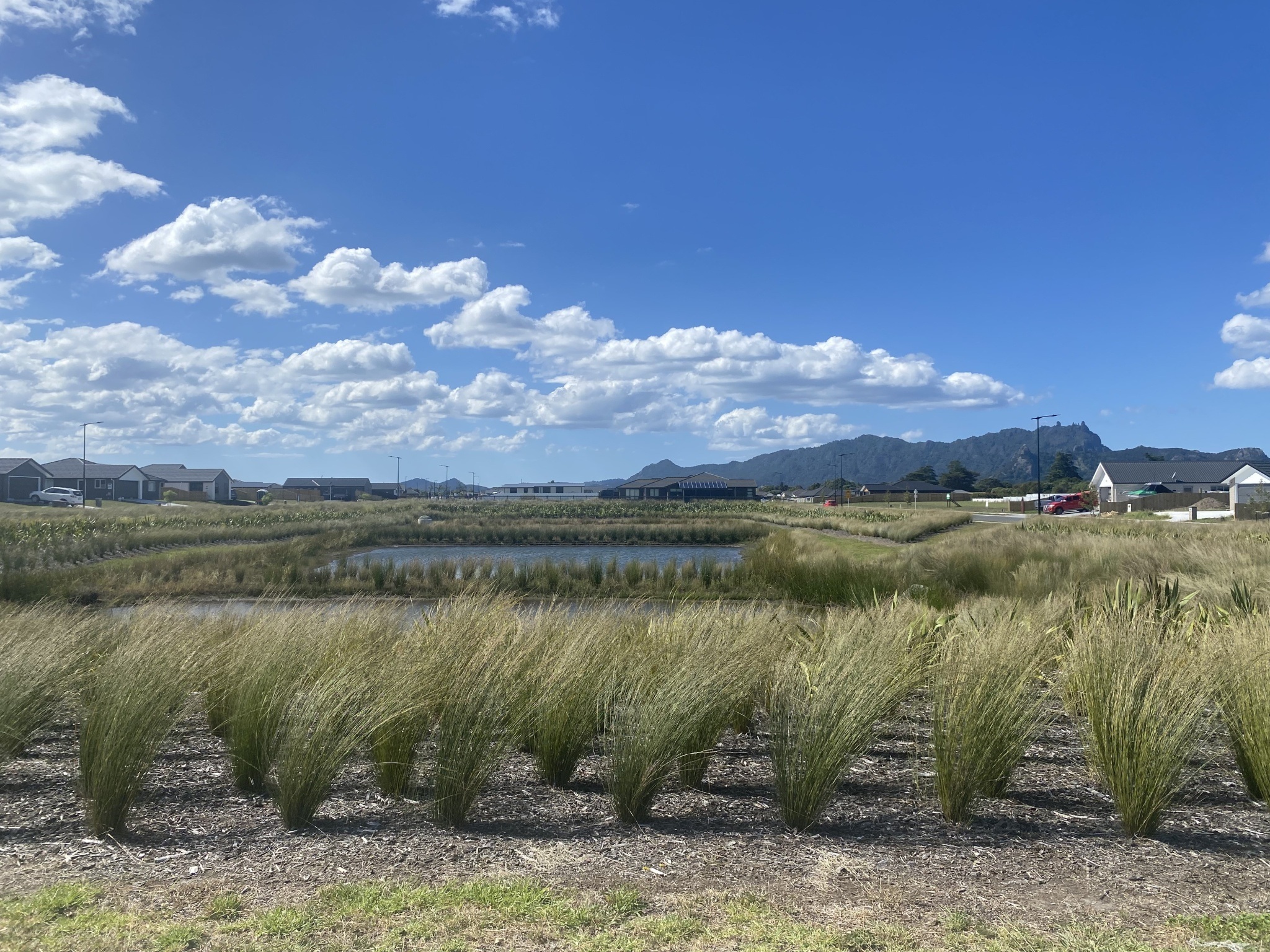 House & Land package at One Tree Point | Northland